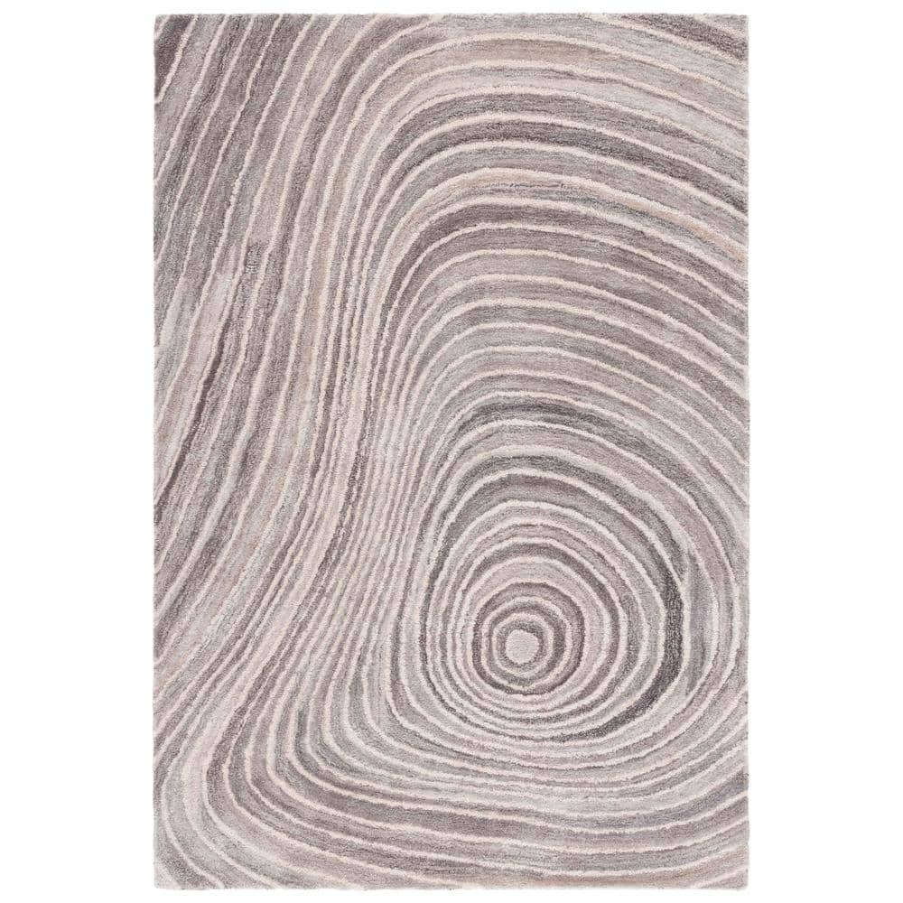 SAFAVIEH Abstract Gray/Ivory 4 ft. x 6 ft. Abstract Concentric Area Rug ...