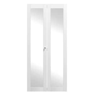 TENONER 48 in x 80 in (Double 24 in. Doors) Solid Core, Mirrored Glass ...