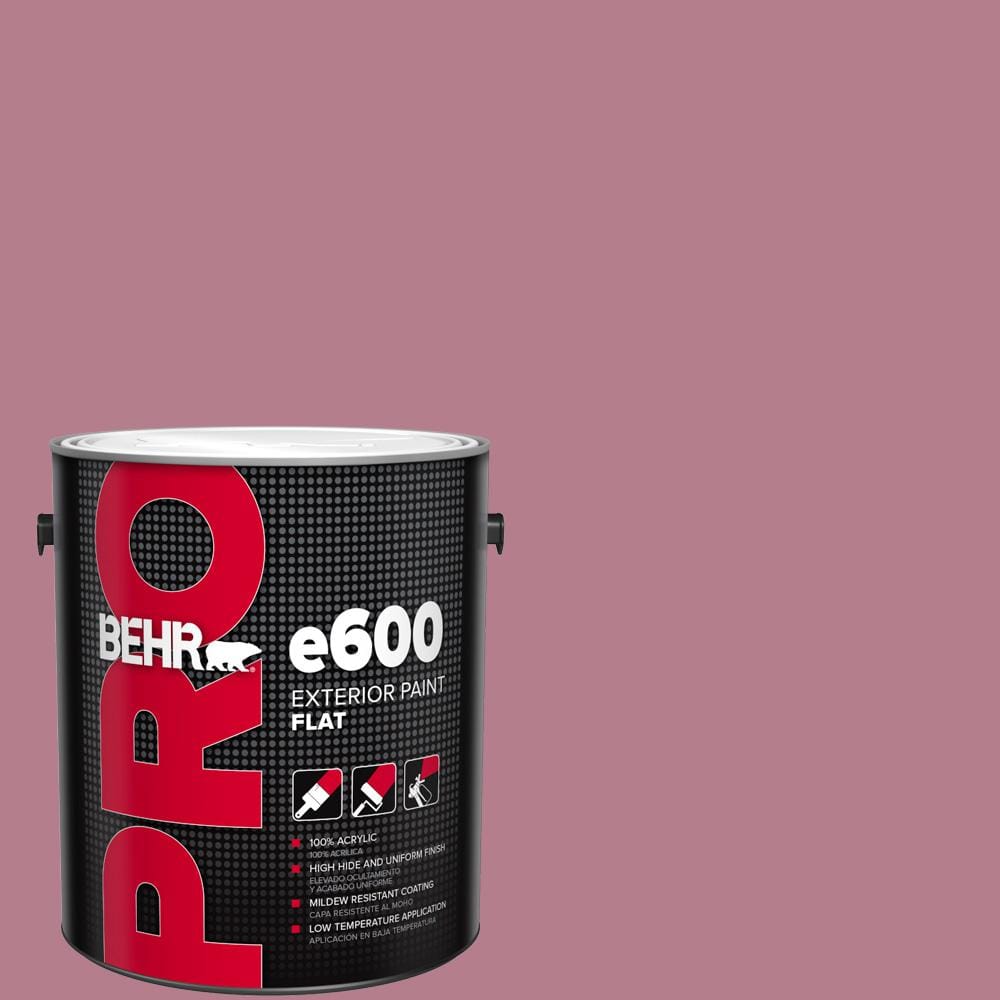 BEHR PRO 1 gal. #100D-4 Degas Pink Flat Exterior Paint PR61301 - The ...