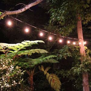 30 ft - String Lights - Lighting - The Home Depot