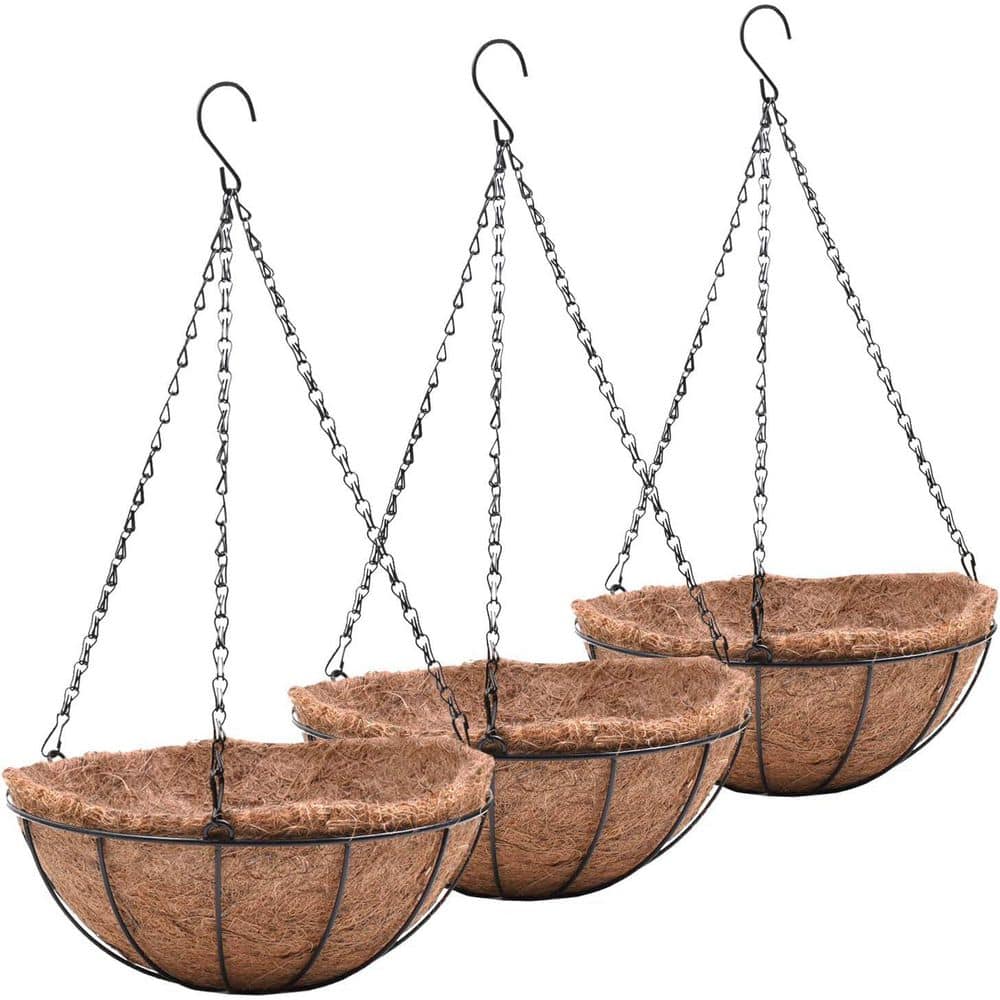 Home Depot Hanging Plants