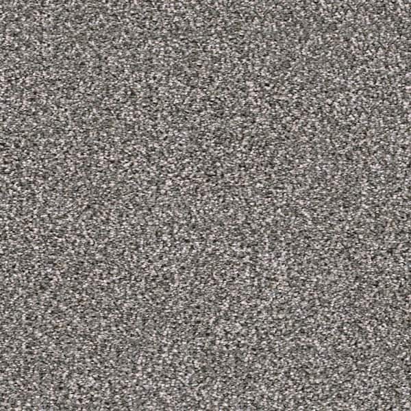 Home Decorators Collection 8 in. x 8 in. Texture Carpet Sample ...