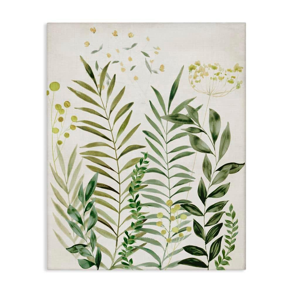 Stupell Industries Delicate Herbs and Leaves by Hannah Dawson Unframed ...