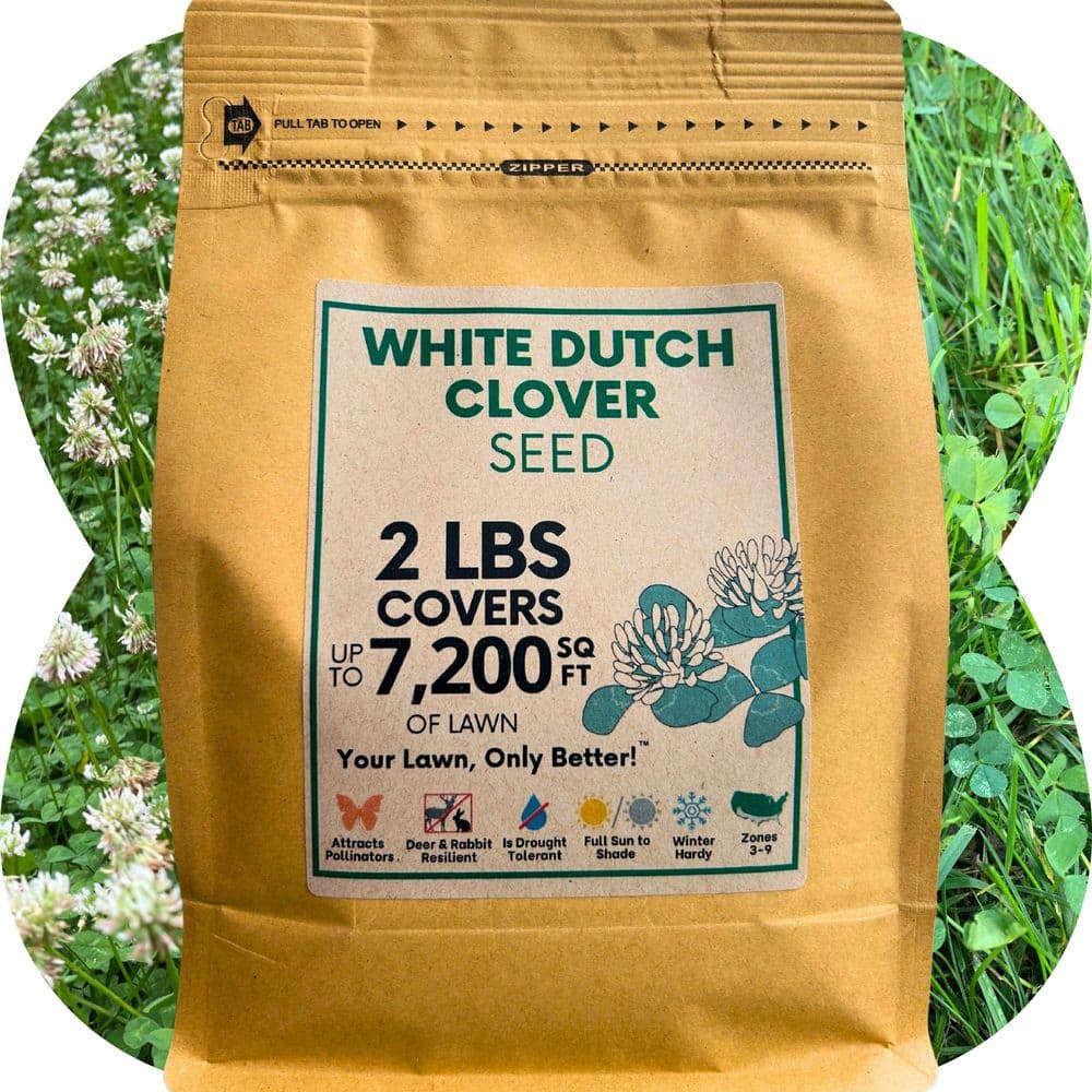 Flawn Seed Kits 2 lb. White Dutch Clover Flower Lawn Seed, Organic ...