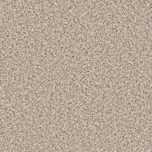 Home Decorators Collection 8 in. x 8 in. Texture Carpet Sample ...
