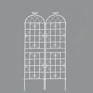 Mr. Garden 7 ft. Raspberry Trellis with Adjustable Arms Raspberry Stake ...