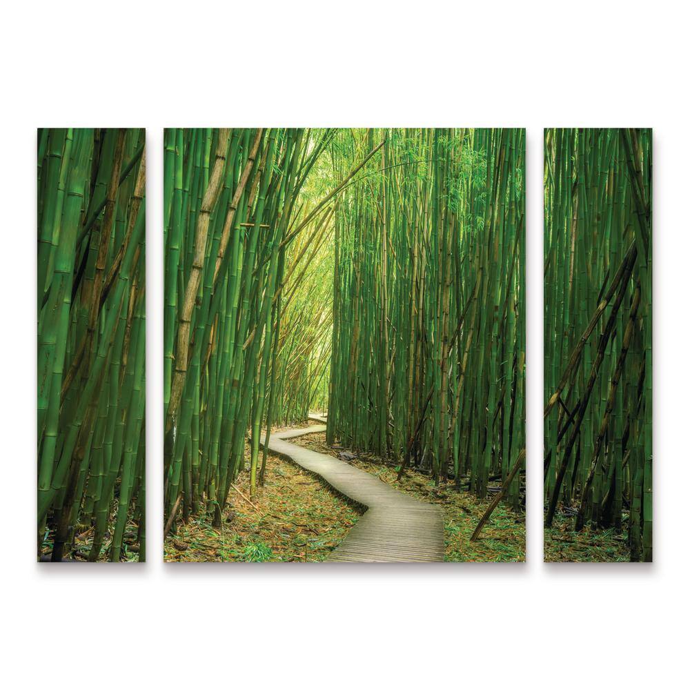Trademark Fine Art Dennis Frates Bamboo Path 3-Piece Panel Set Unframed ...