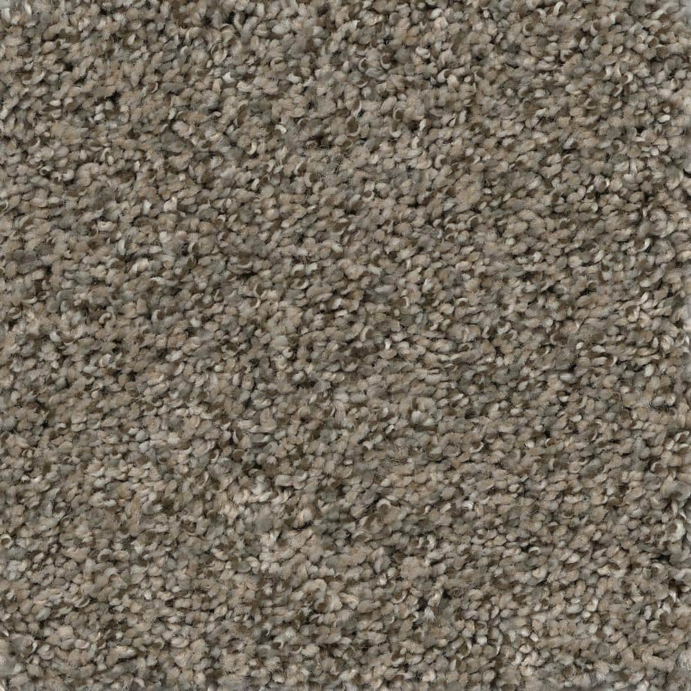 TrafficMaster 8 in. x 8 in. Texture Carpet Sample - Otis -Color Popular ...