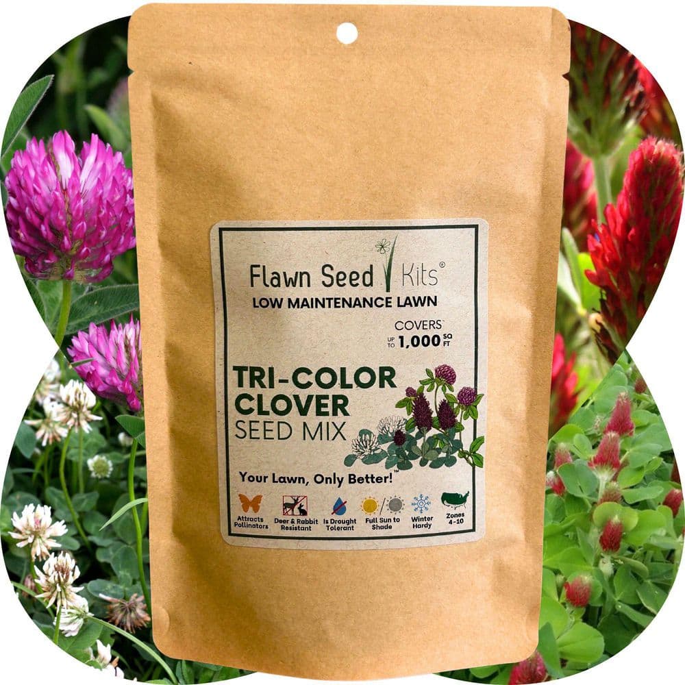 Flawn Seed Kits Tri-Color Lawn Flower Seed, Crimson, Medium Red and ...