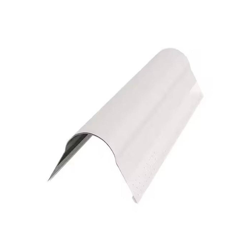 Phillips Manufacturing Company 5 in. x 10 ft. Galvanized Steel Paper ...