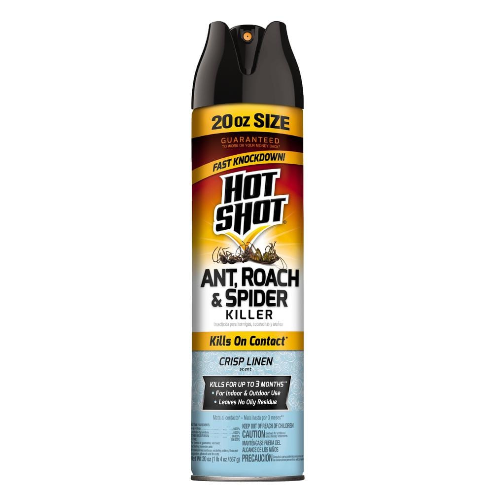 Hot Shot 20 oz. Ant, Roach, and Spider Insect Killer Aerosol Spray ...