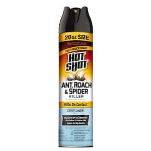 Hot Shot 20 oz. Ant, Roach, and Spider Insect Killer Aerosol Spray ...