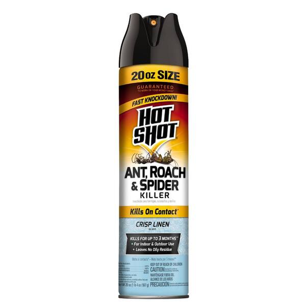 Hot Shot 20 oz. Ant, Roach, and Spider Insect Killer Aerosol Spray ...