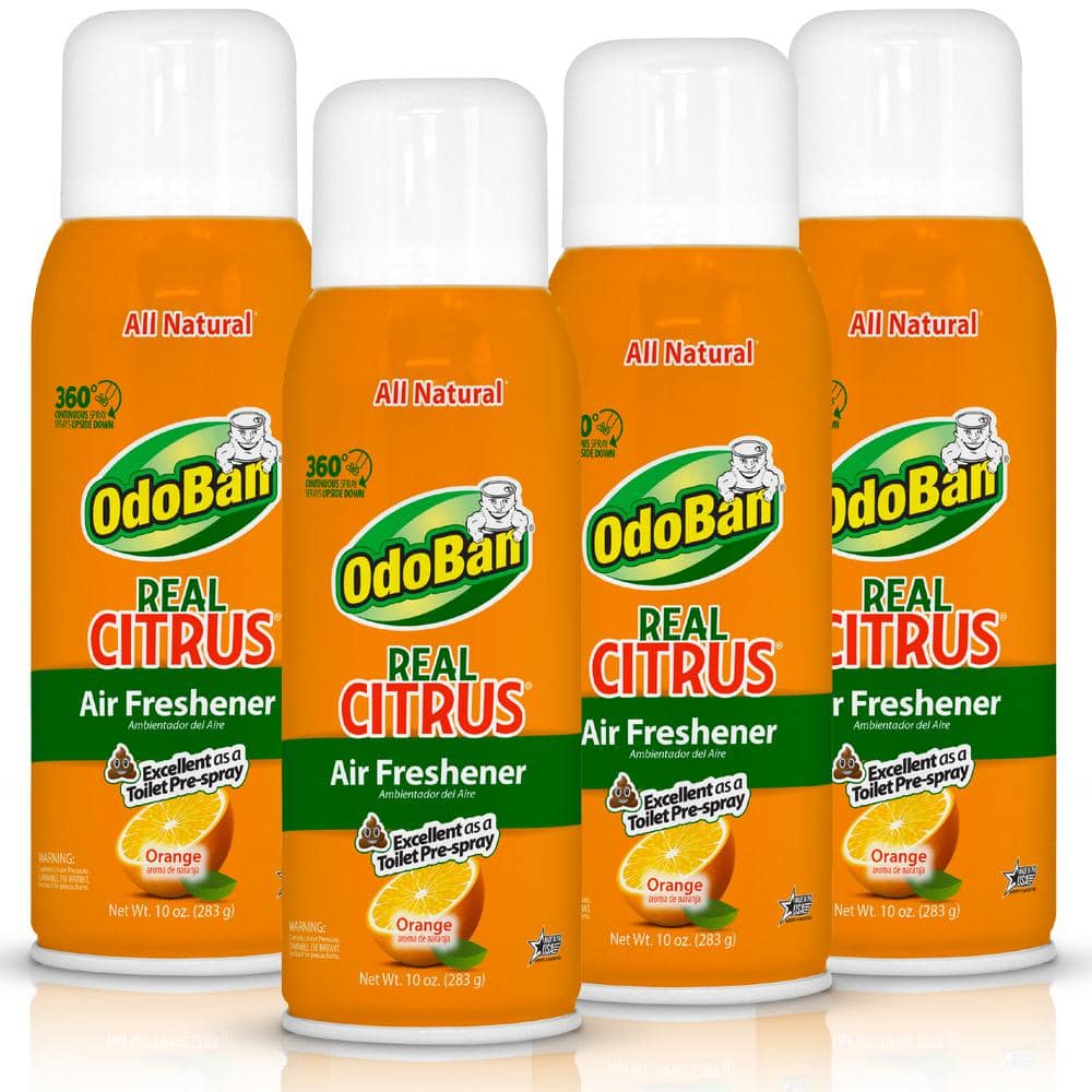 Reviews For Odoban 10 Oz Orange Real Citrus Air Freshener Spray Natural Air Freshener For Home