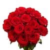 Globalrose Fresh Dark Red Color Roses (250 Stems) red-paris-250 - The ...
