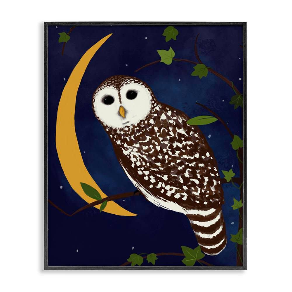 Stupell Industries Owl and Moon Forest by Michelle Ingari Designs Black ...