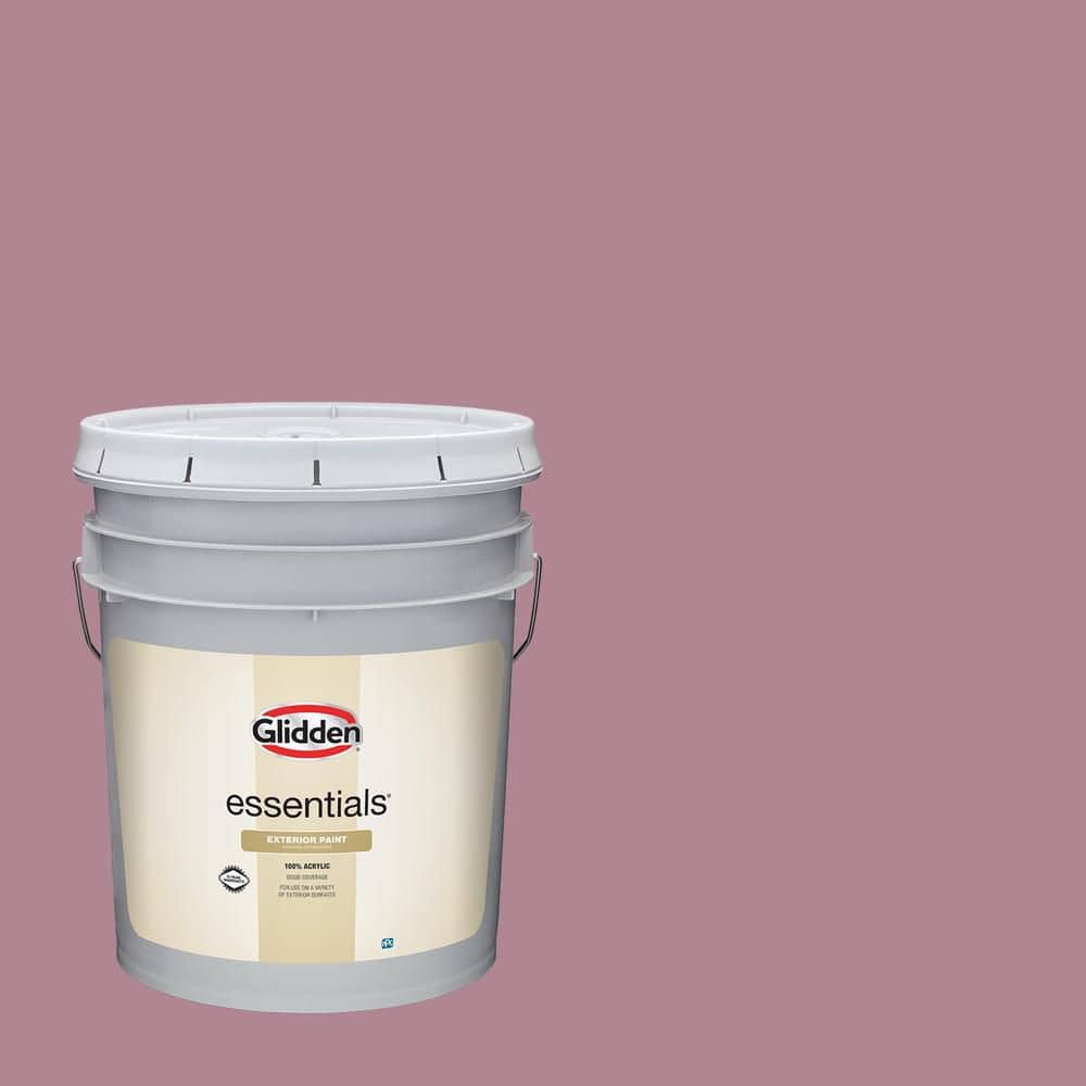 Glidden Essentials 5 gal. PPG1045-5 Keepsake Rose Satin Exterior Paint ...