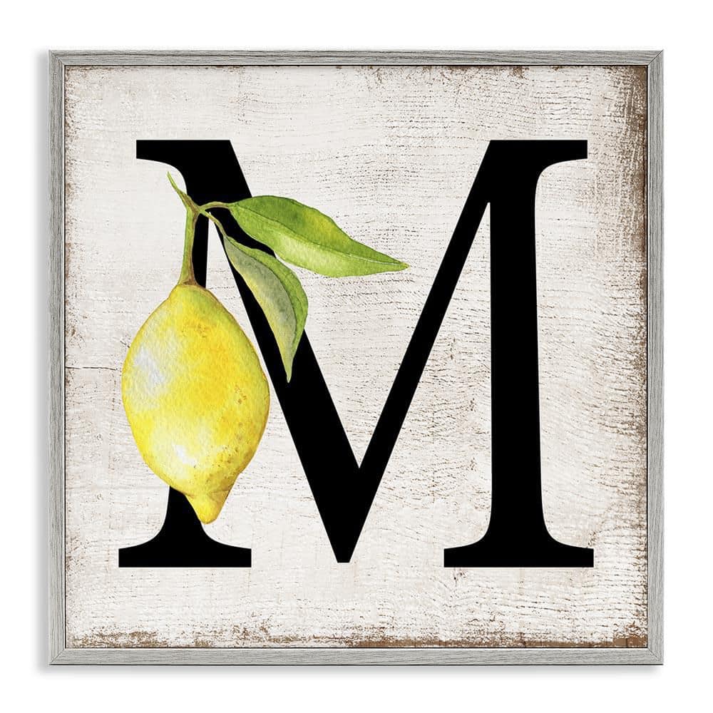 Stupell Industries M with Lemon Letter by Creatif Belle Gray Framed ...