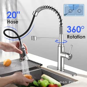 Staykiwi Single Handle Pull Out Sprayer Kitchen Faucet in Brushed ...