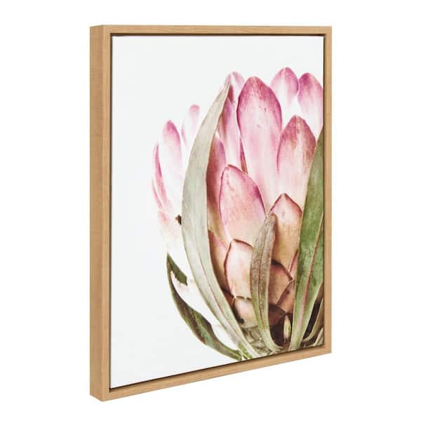 Kate and Laurel Sylvie "Pink Protea Flower" by Amy Peterson Art Studio Natural Framed Art Print ...