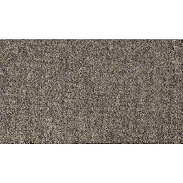 TrafficMaster 8 in. x 8 in. Pattern Loop Carpet Sample - Lanwick ...