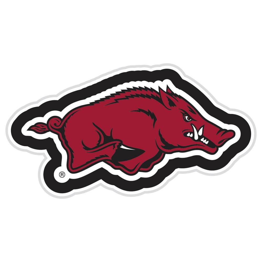 Evergreen 23 in. x 23 in. University of Arkansas Red College Mascot ...