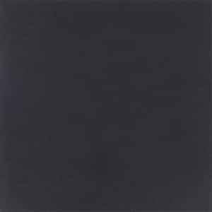 Have a question about Daltile Calgary Legacy 24 in. x 24 in. Matte ...