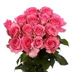 Globalrose Fresh Pink Roses Bulk (100 Stems) roses-pink-100 - The Home ...