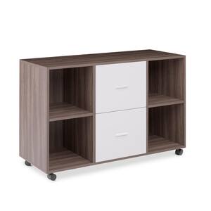 SAINT BIRCH Houston Rustic Brown Lateral File Cabinet with 1-Door and 2 ...