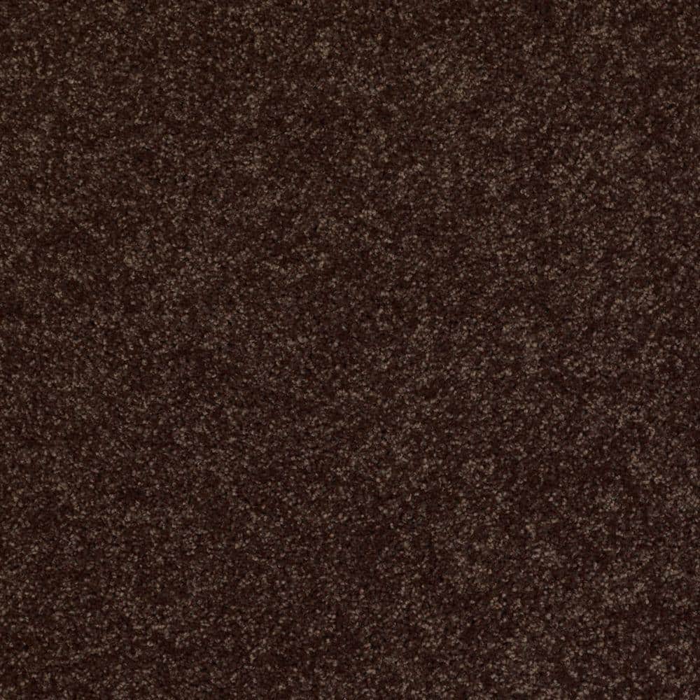 TrafficMaster Palmdale II - Mountain Path - Brown 31.2 oz. Polyester ...