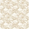Brewster Surfside Beige Shells Beige Wallpaper Sample 2904-25690SAM ...