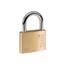 TOLEDO 60 mm Brass Keyed Padlock TO60 - The Home Depot