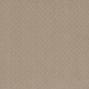 TrafficMaster 8 in. x 8 in. Loop Carpet Sample - Camelia Lane -Color ...