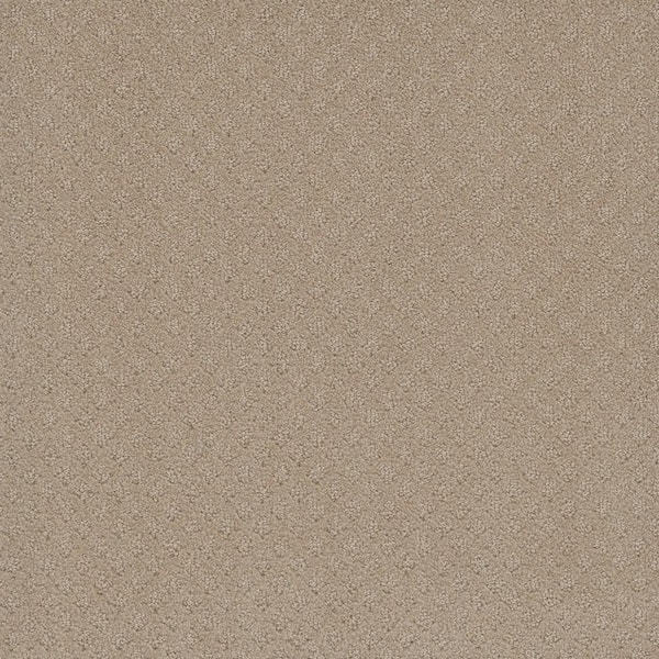 TrafficMaster 8 in. x 8 in. Loop Carpet Sample - Camelia Lane -Color ...