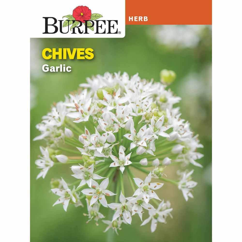 Burpee Garden Herb Chives Garlic Herb Seed 66029 - The Home Depot
