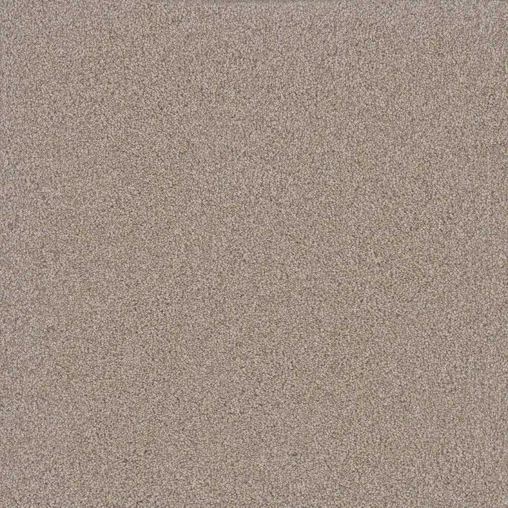 Lifeproof Misty Meadows I- Glenrock Beige - 45 oz. SD Polyester Texture ...