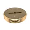 EASTMAN 3 in. Slotted Brass Cleanout Plug 3-3/8 in OD for DWV 42002 ...