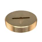EASTMAN 3 in. Slotted Brass Cleanout Plug 3-3/8 in OD for DWV 42002 ...