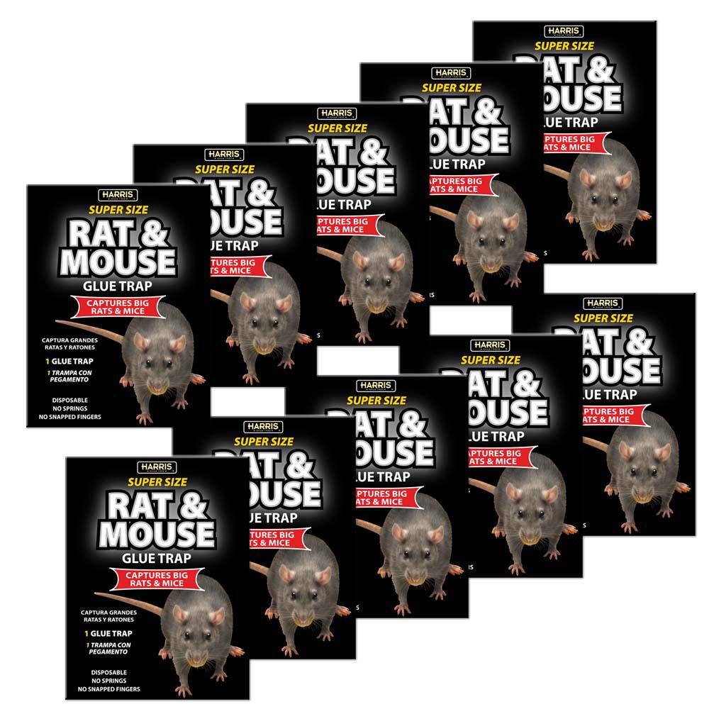 Harris Rat and Mouse Glue Trap Super-Size (10-Pack) 10BLKRAT-1 - The ...