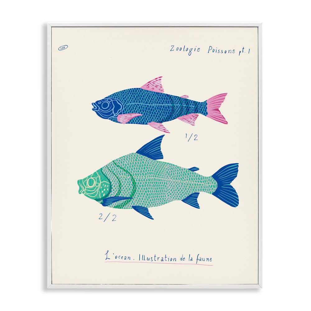 Stupell Industries Sea Fauna Studies by Marina Astudillo White Framed ...