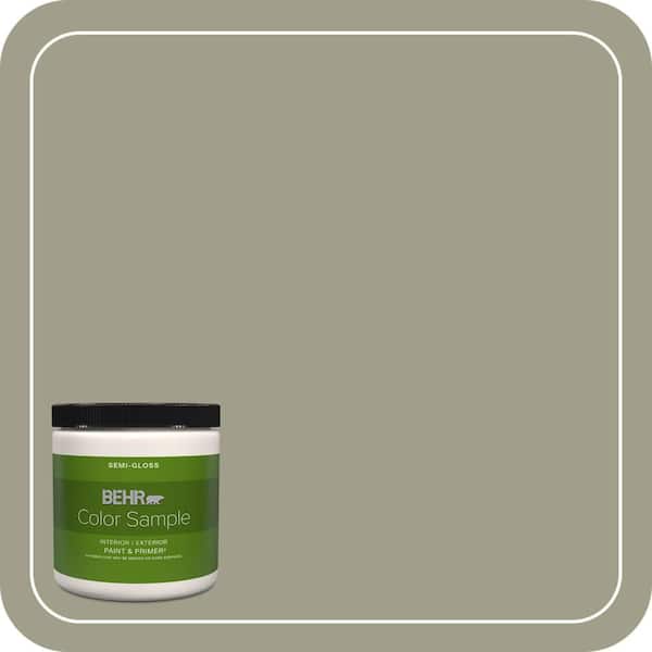 BEHR PREMIUM PLUS 8 oz. #BXC-82 Potting Moss Semi-Gloss Interior ...