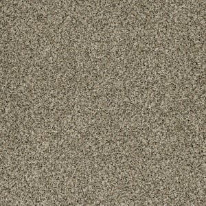 Home Decorators Collection 8 in. x 8 in. Texture Carpet Sample - Trendy ...