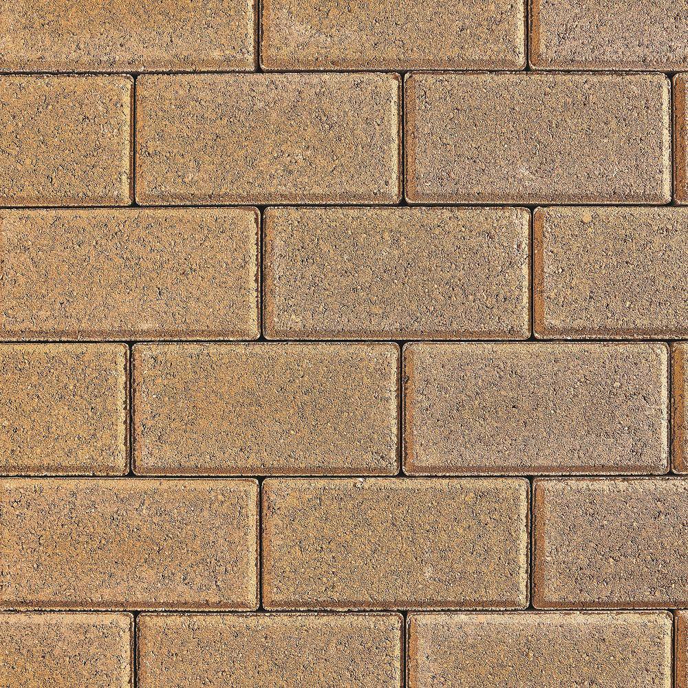 Pavestone Holland 7.87 in. L x 3.94 in. W x 2.36 in. H 60 mm Old Town ...