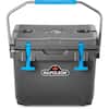 NAPOLEON 15 L Cooler Box with Bottle Opener 55220 - The Home Depot