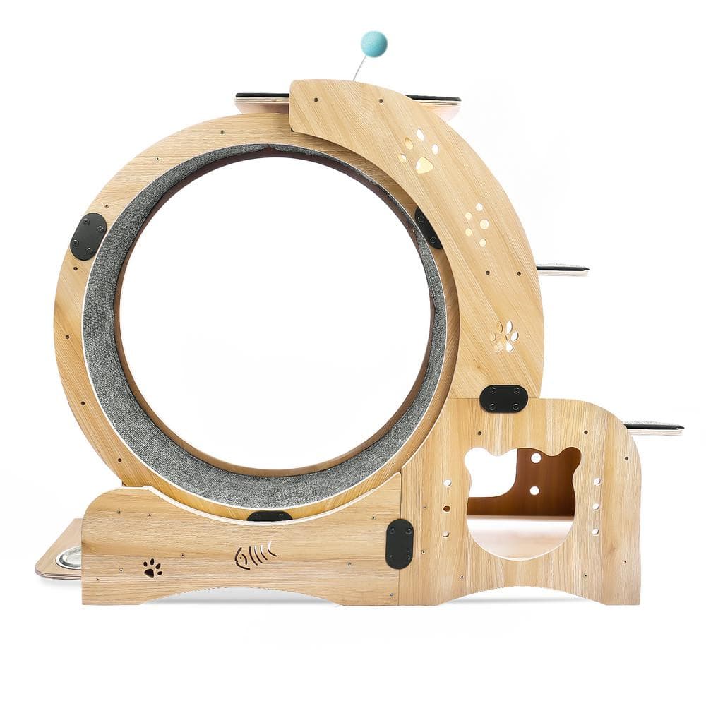 maocao hoom Natural Wood Cat Exercise Wheel with Jumping Platform ...