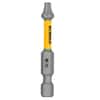 DEWALT MAXFIT ULTRA 2 in. T20 Steel Screwdriving Bits (2-Pack ...