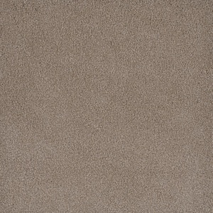 Home Decorators Collection 8 in. x 8 in. Texture Carpet Sample - First ...