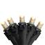 Northlight Set of 50 Warm White LED Mini Christmas Lights with Black ...