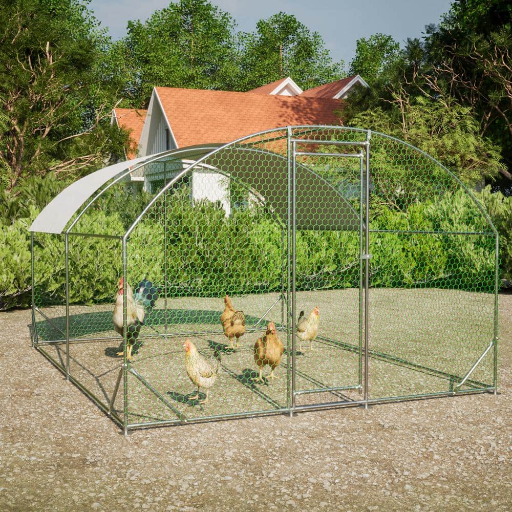 Thanaddo 10 ft. x 13 ft. Large Metal Walk in Chicken Coop Galvanized ...