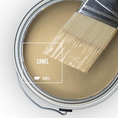Camel - Paint Colors - Paint - The Home Depot